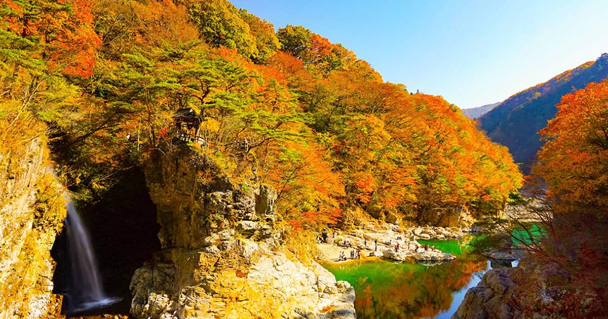 [Autumn Ryuo Gorge Hiking Day Tour] Kinu River Suspension Bridge + Kinu ...